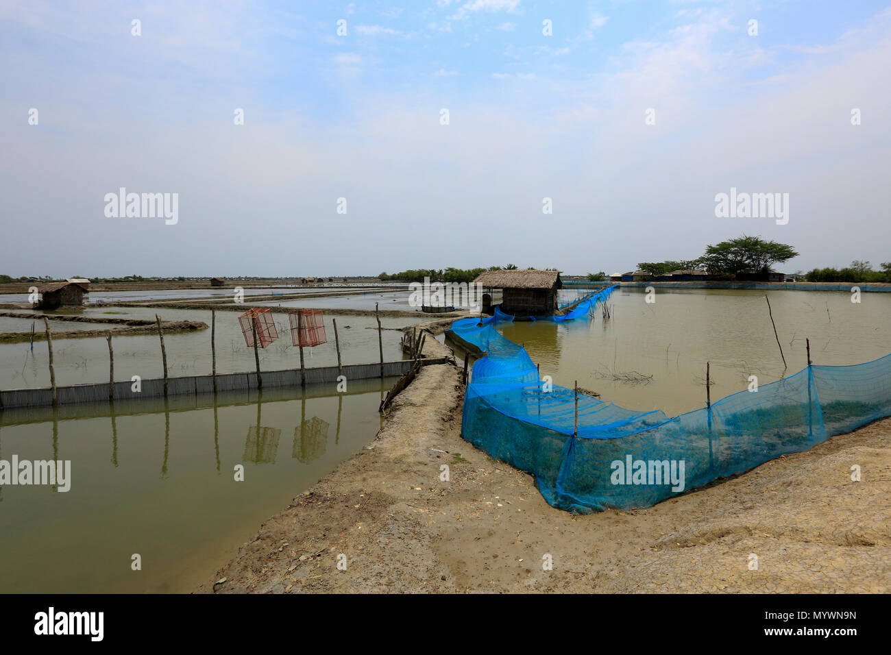 View of a desiccated floodplain at Gabura union in Shyamnagar Upajila ...