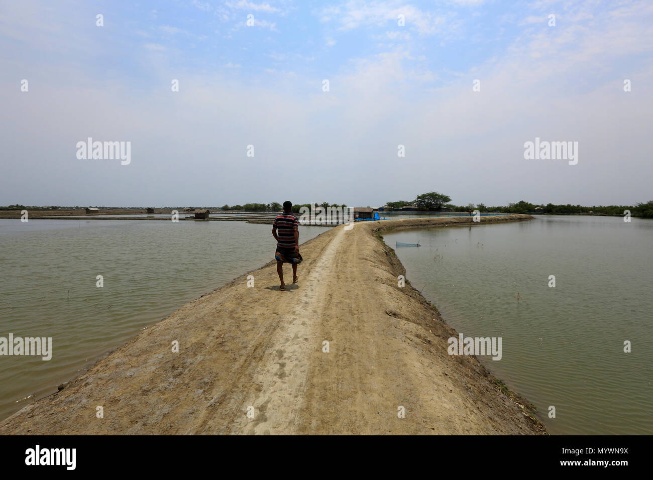 Shyamnagar gabura hi-res stock photography and images - Alamy