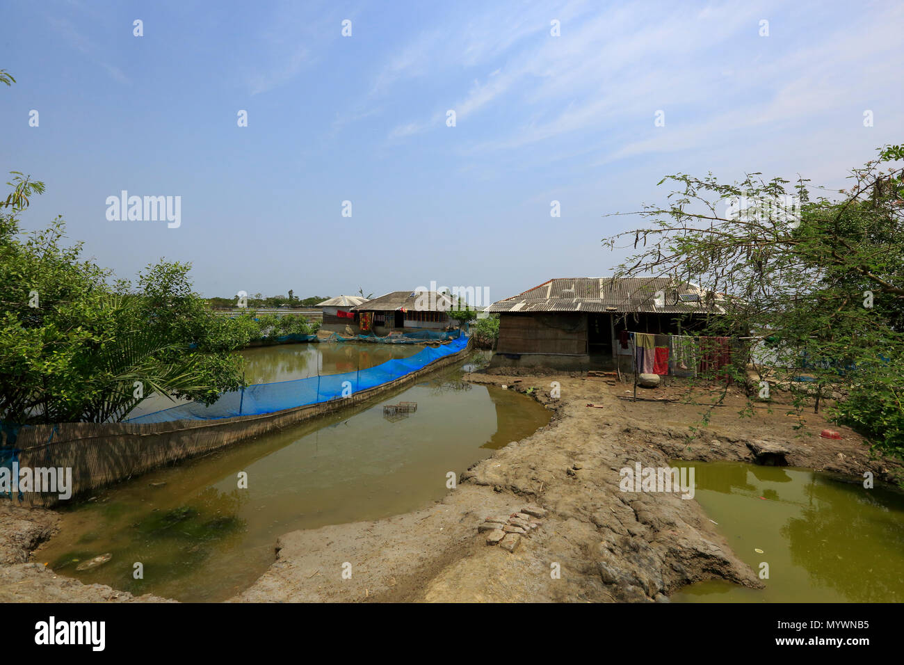 Shyamnagar gabura hi-res stock photography and images - Alamy
