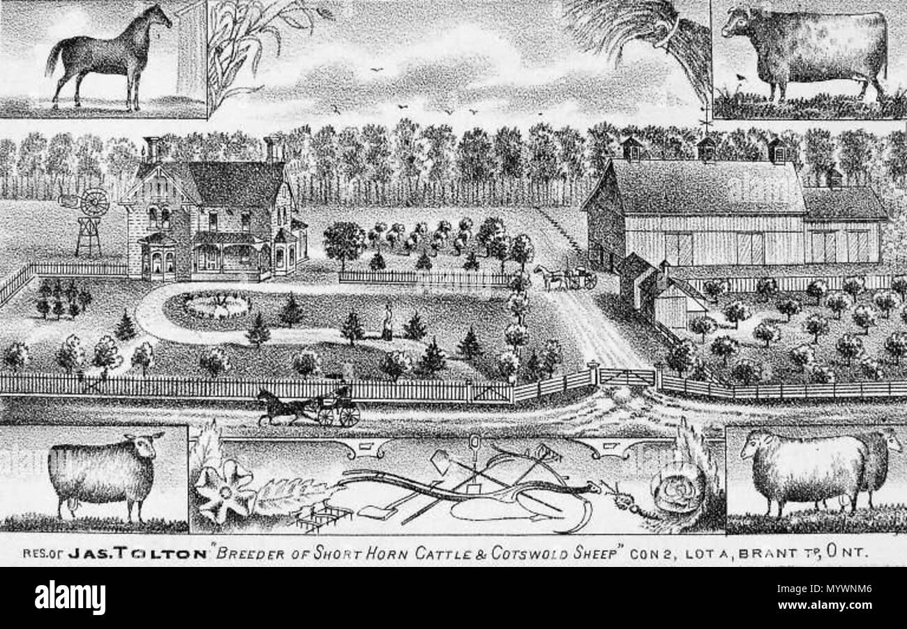 Ink printed on paper Black and White Stock Photos & Images - Alamy