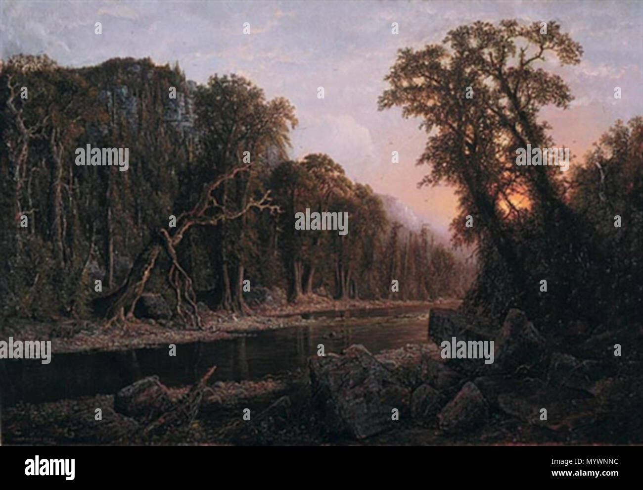 Cliff Watson High Resolution Stock Photography and Images - Alamy