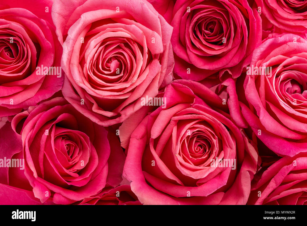 181 red hi-res stock photography and images - Alamy