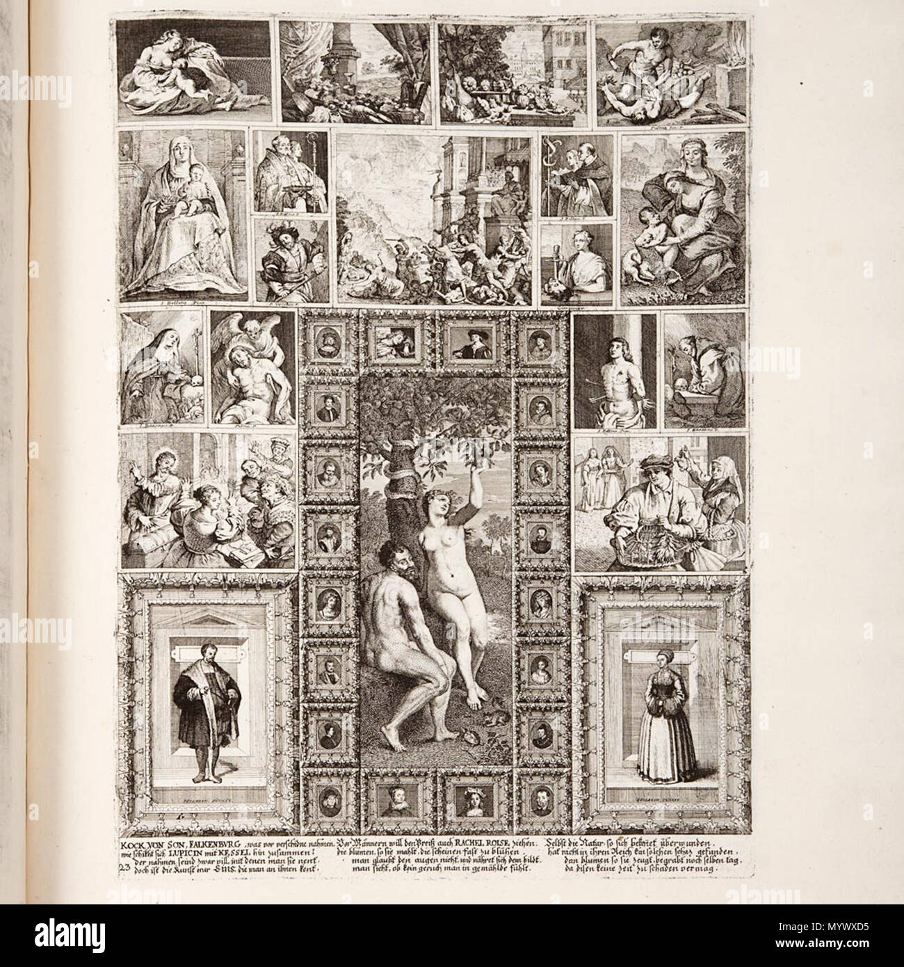 Prodromus High Resolution Stock Photography and Images - Alamy