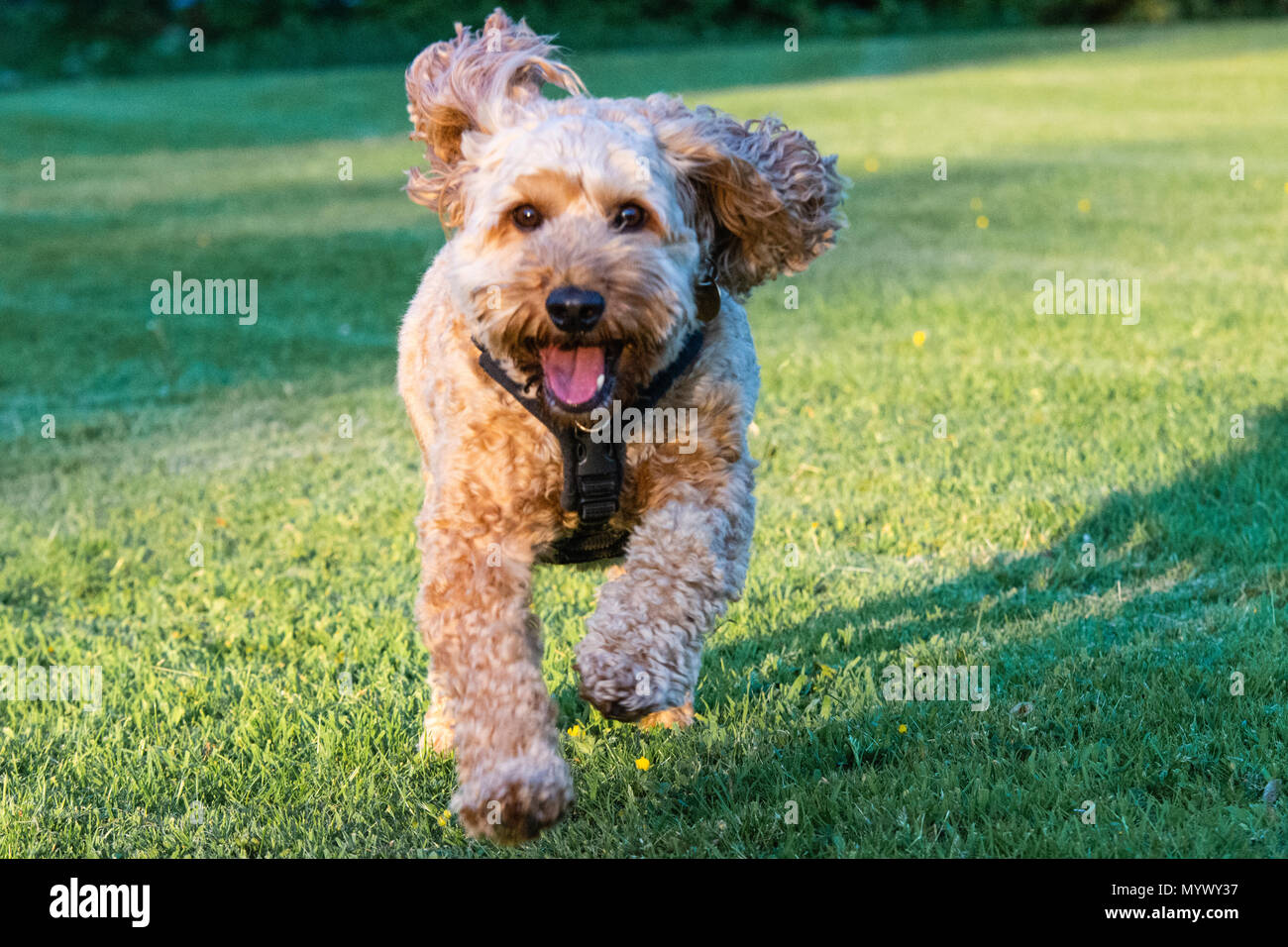 High bentham hi-res stock photography and images - Alamy