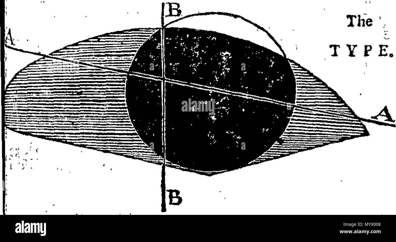 . English: Fleuron from book: Apollo Anglicanus: the English apollo ...