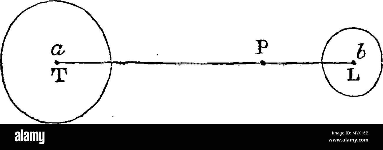 . English: Fleuron from book: Arithmetical collections and improvements. Being a complete system ...