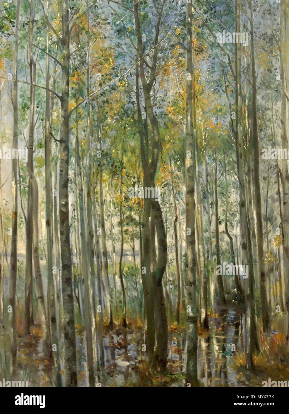 . A Forest. Flooding on Lake Starnberg . 1896 21 Corinth Forest Stock ...