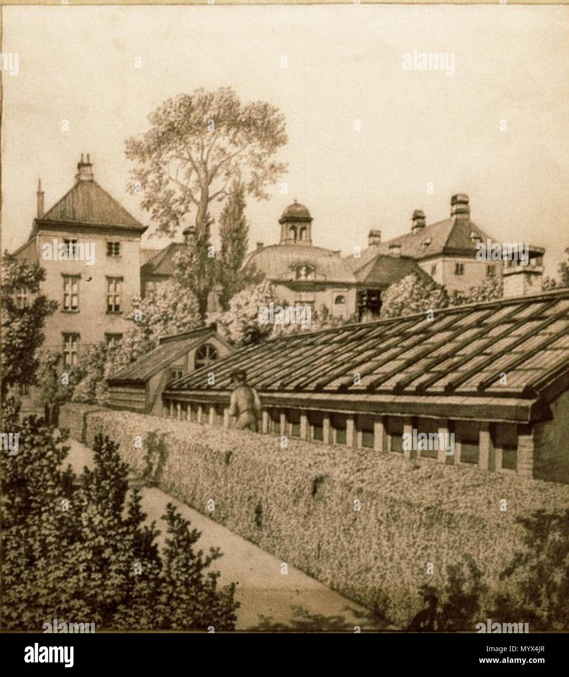 . English: The Botanical Garden behind Charlottenborg in Copenhagen ...