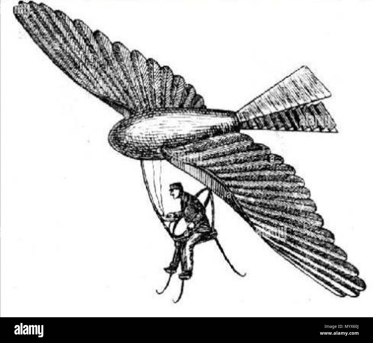 2 Kadeřávkův samolet Stock Photo - Alamy