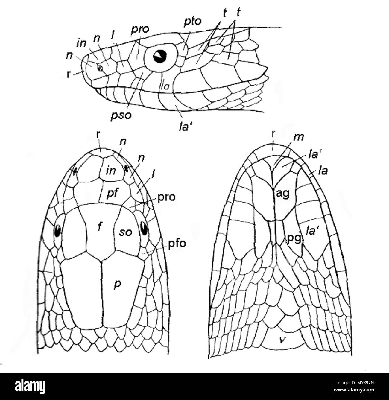 Terminology hi-res stock photography and images - Alamy