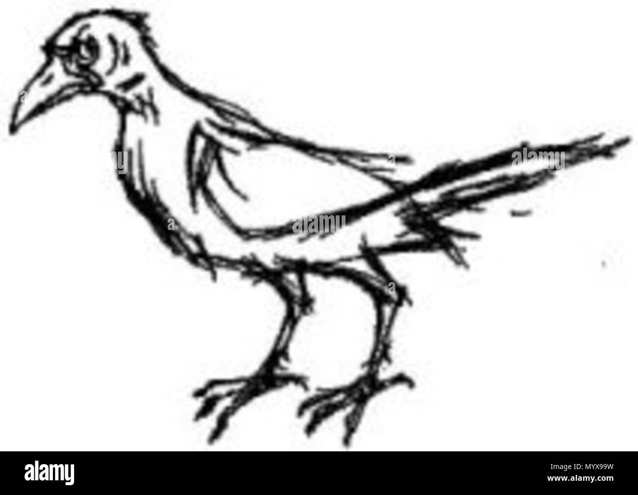 . Cartoon by Sukumar Ray. . Sukumar Ray / ??????? ???? 1 Sangihara ...