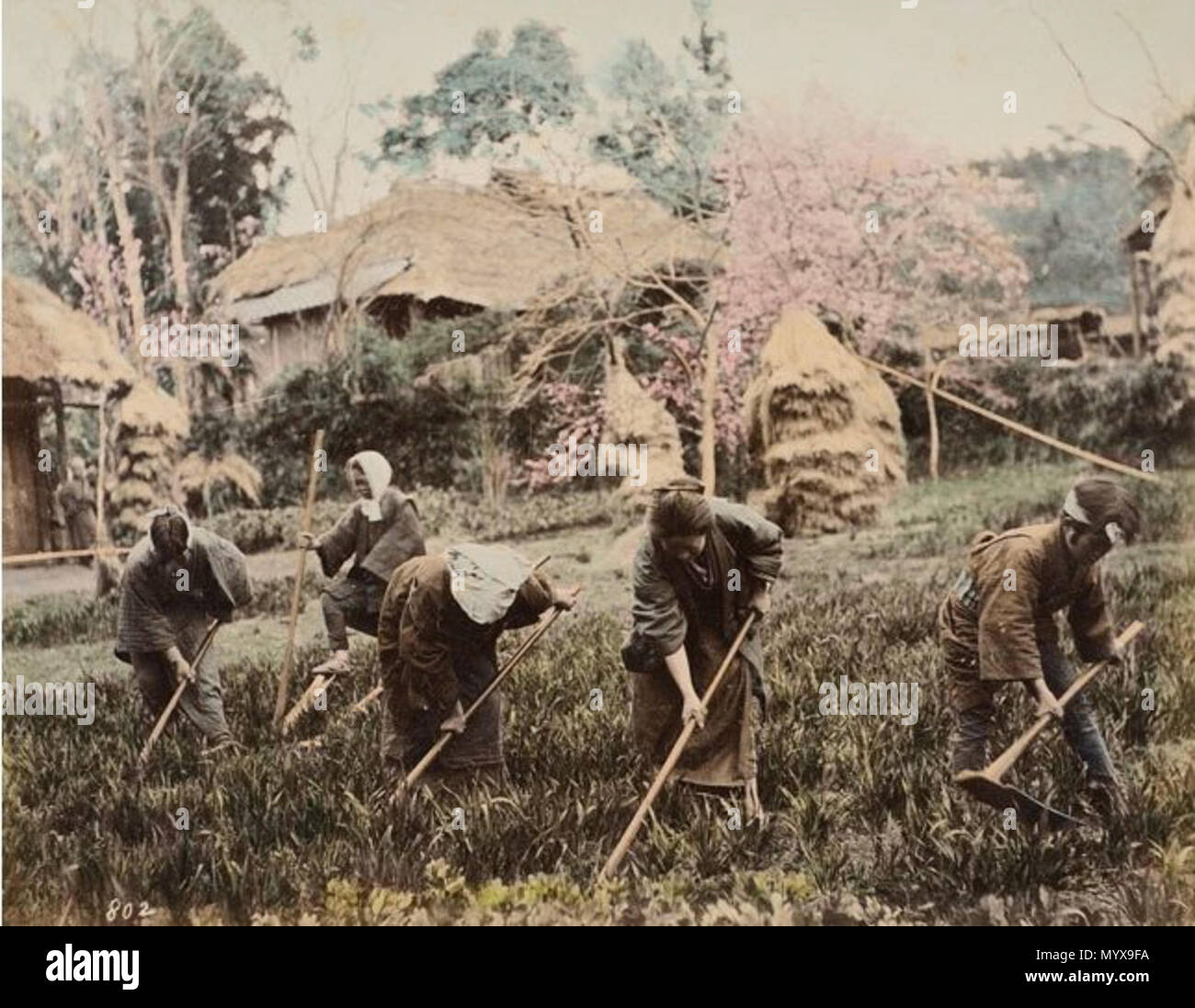 Japan 1890s hi-res stock photography and images - Alamy