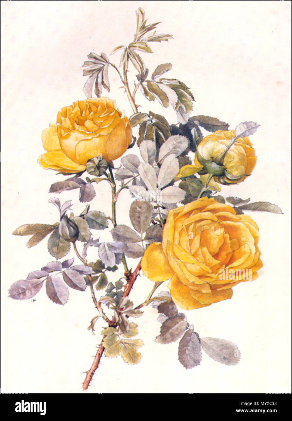 . English: картины английского художника Alfred William Parsons (1847 ...