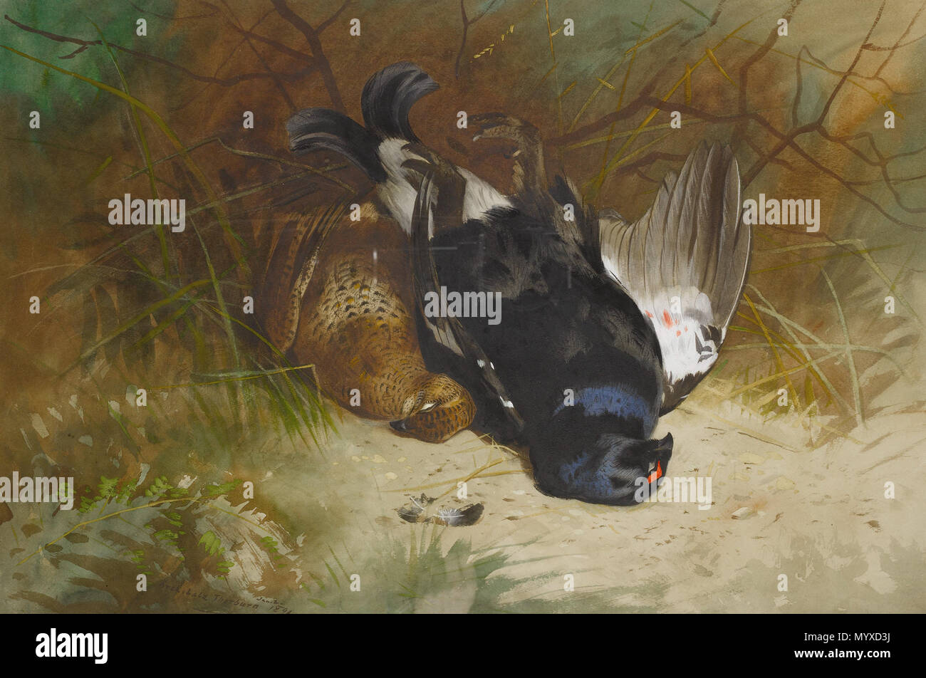 68 x 46 cm hi-res stock photography and images - Alamy