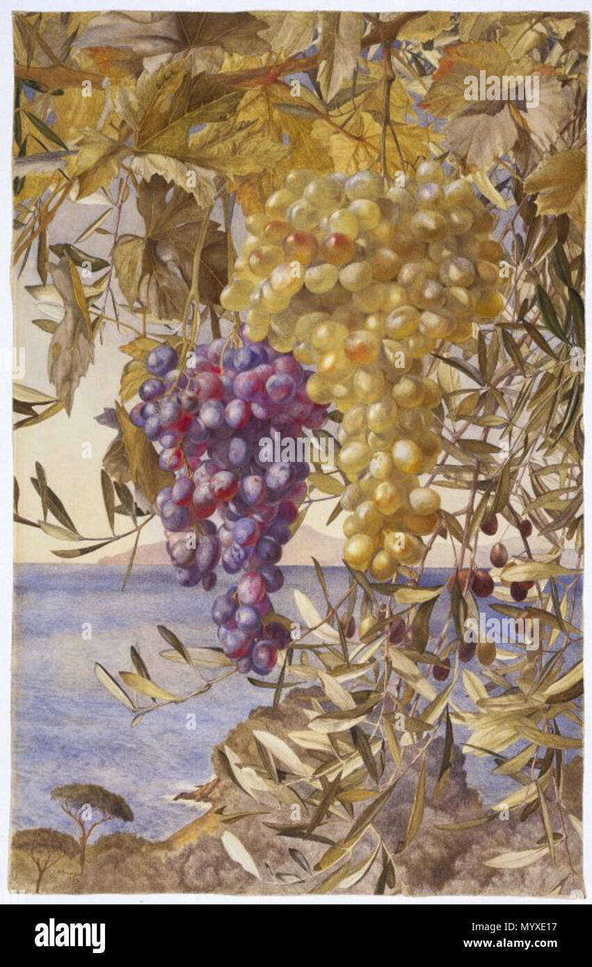 Henry Roderick High Resolution Stock Photography and Images - Alamy