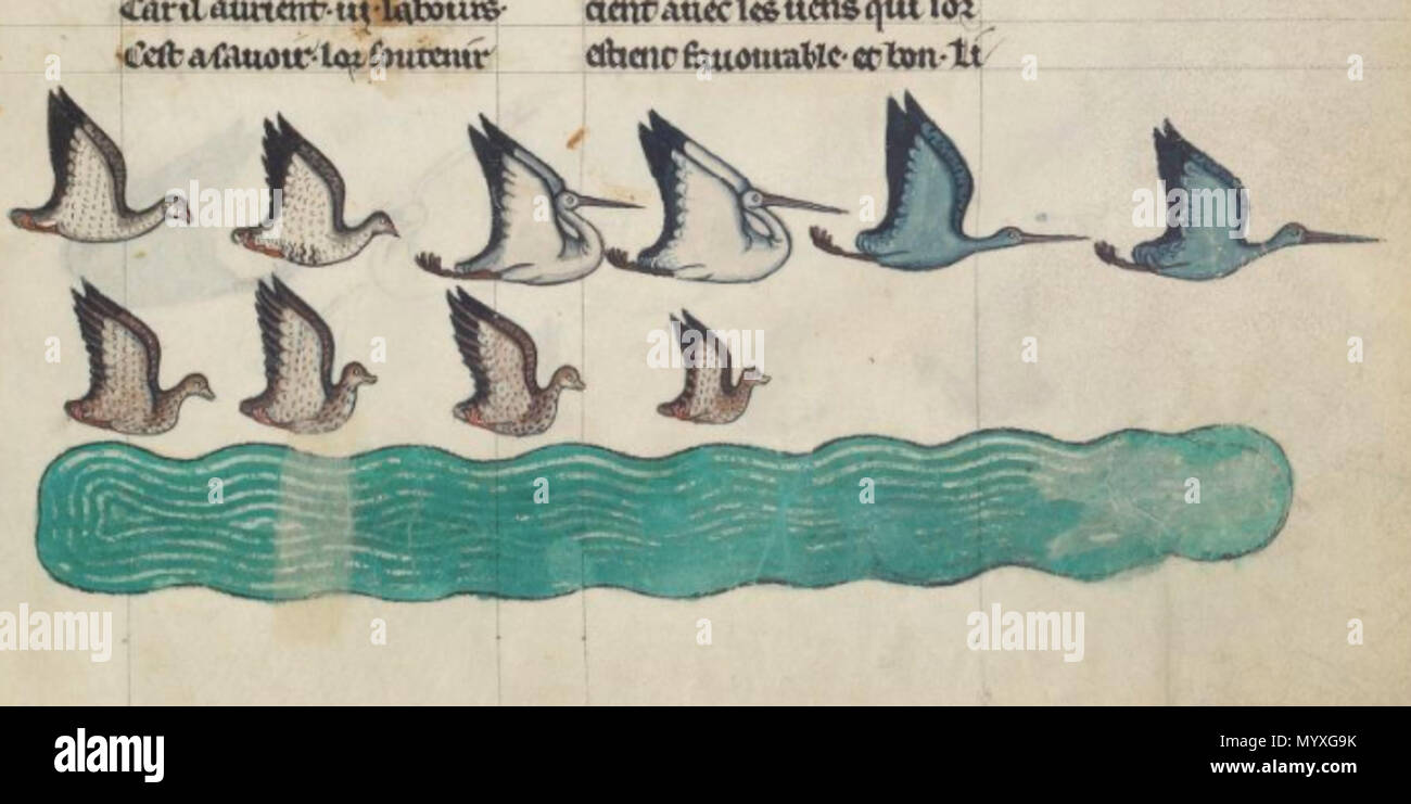 . Čeština: De arte venandi cum avibus 25 De arte venandi cum avibus II ...