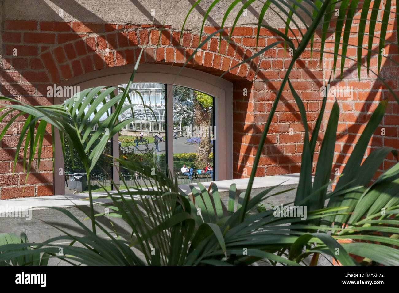 View from inside theTropical Ravine across to the glass Palm House in ...