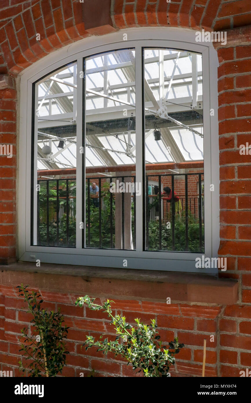 Looking into the Tropical Ravine in Botanic Gardens to see tropical ...