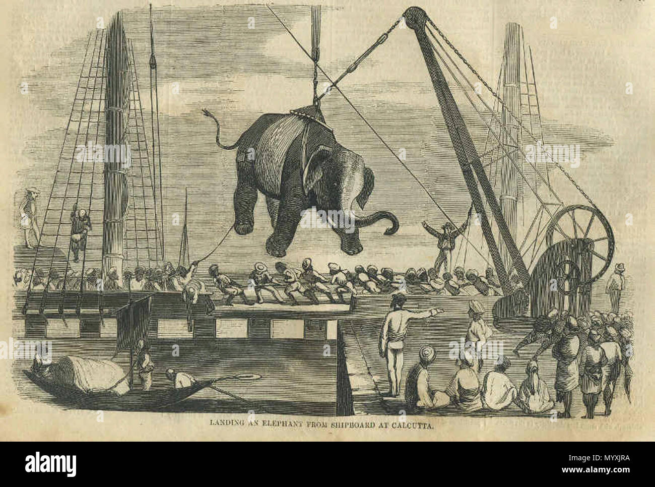 Landing an elephant from shipboard at Calcutta, from Harpers Weekly ...