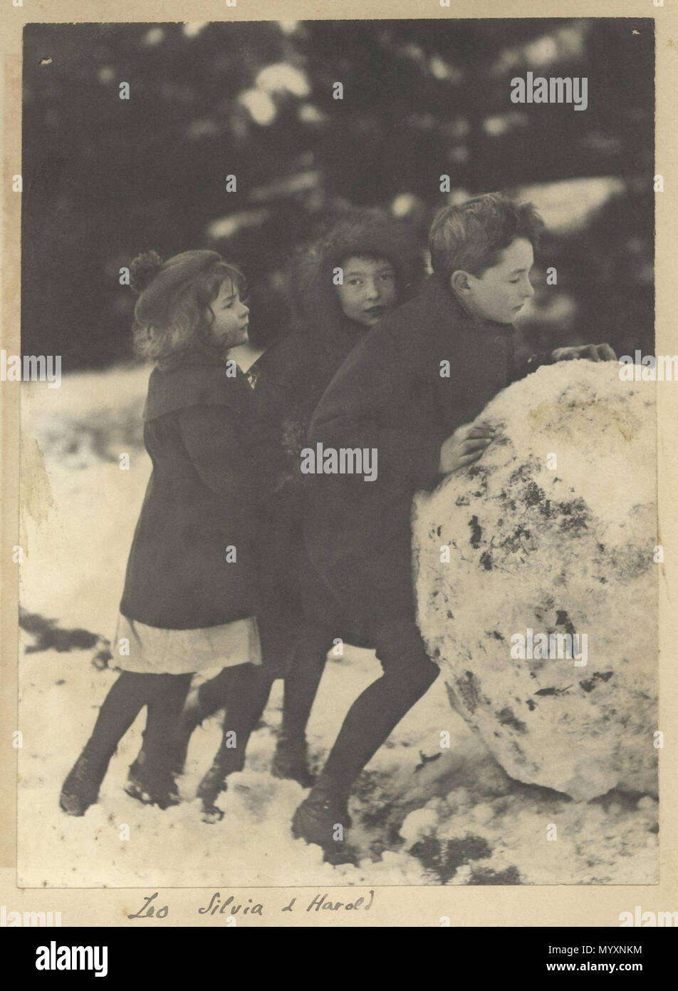 43 Harold Hawthorn Myers; Silvia Constance Myers; Leopold Hamilton ...