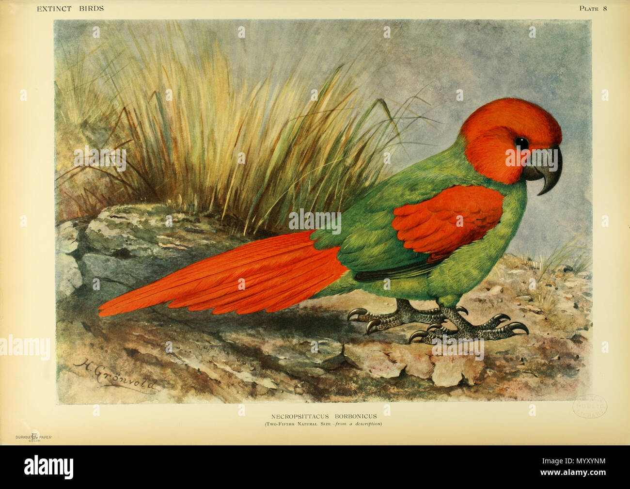 Mascarene a hi-res stock photography and images - Alamy