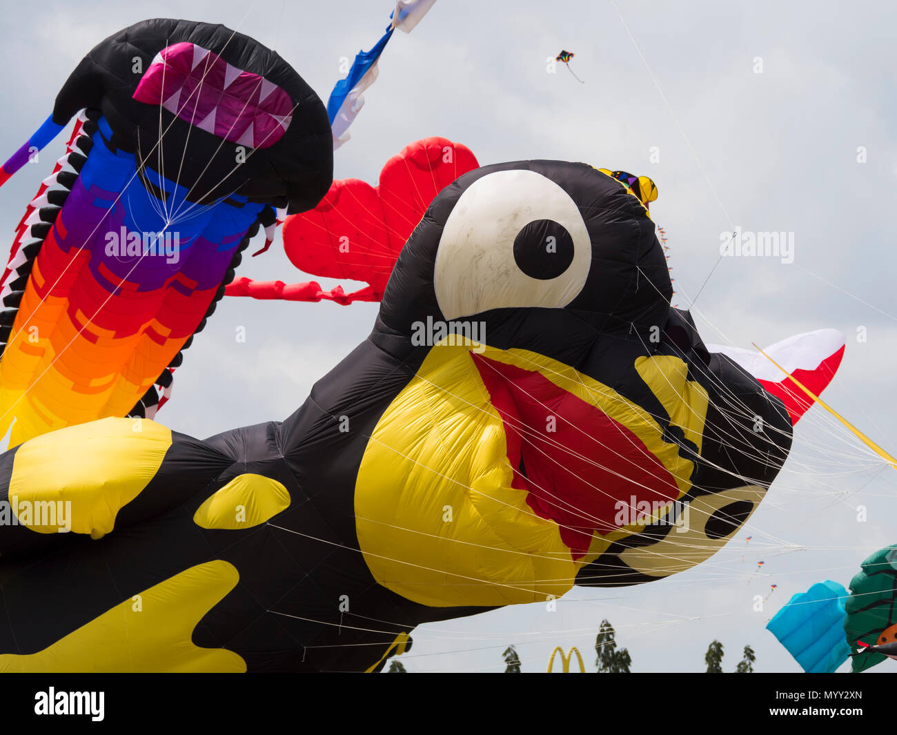 Huge kites hi-res stock photography and images - Alamy