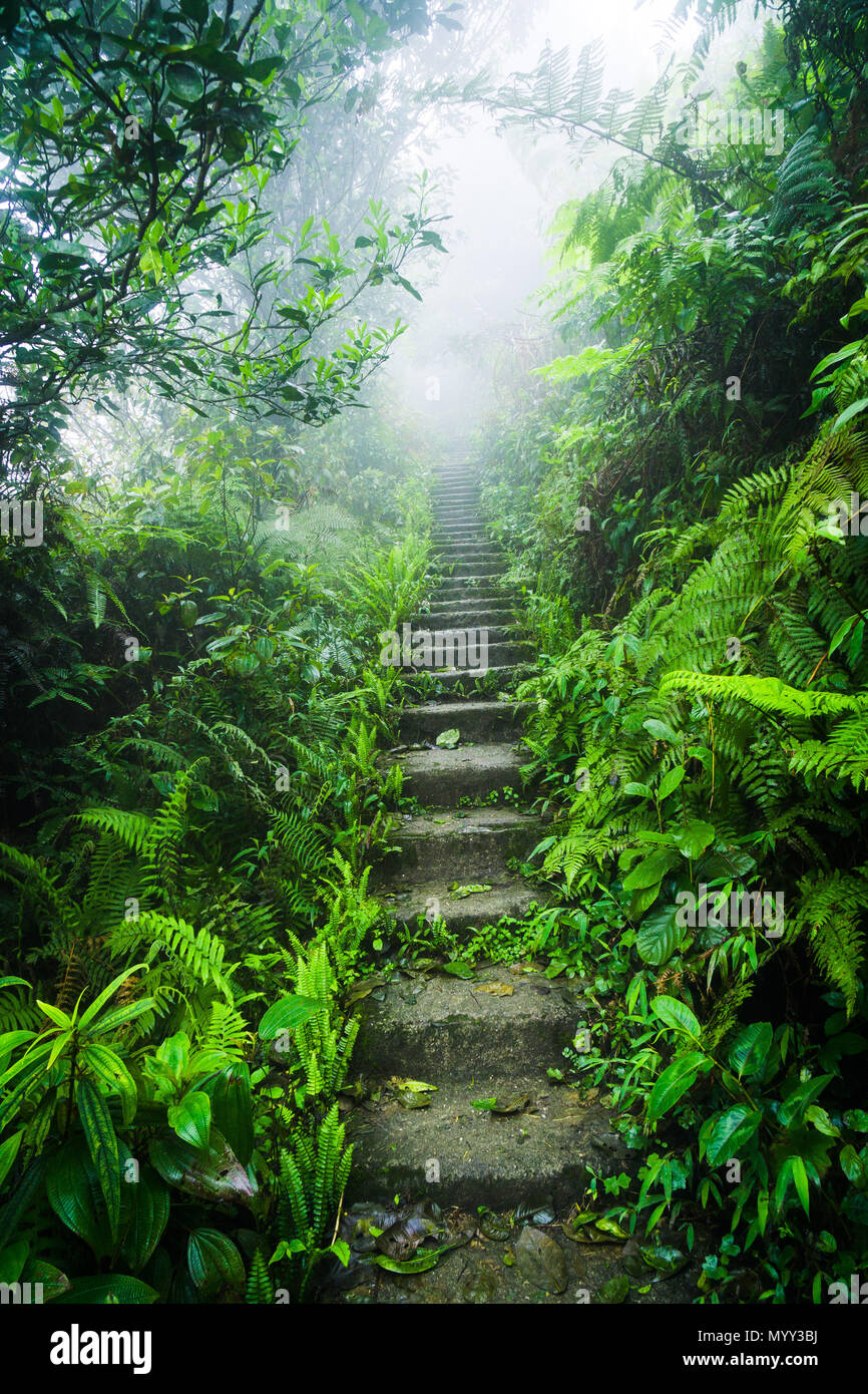 Heaven path hi-res stock photography and images - Alamy