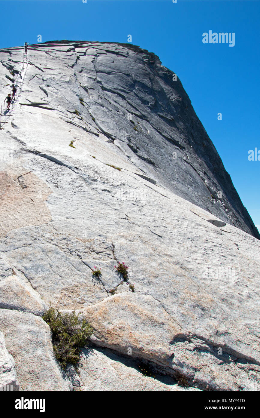 Hikers half dome climbing hi-res stock photography and images - Alamy
