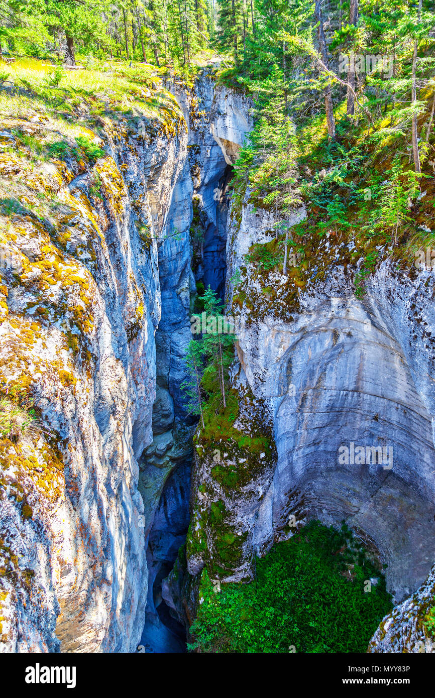 National park jasper hi-res stock photography and images - Alamy