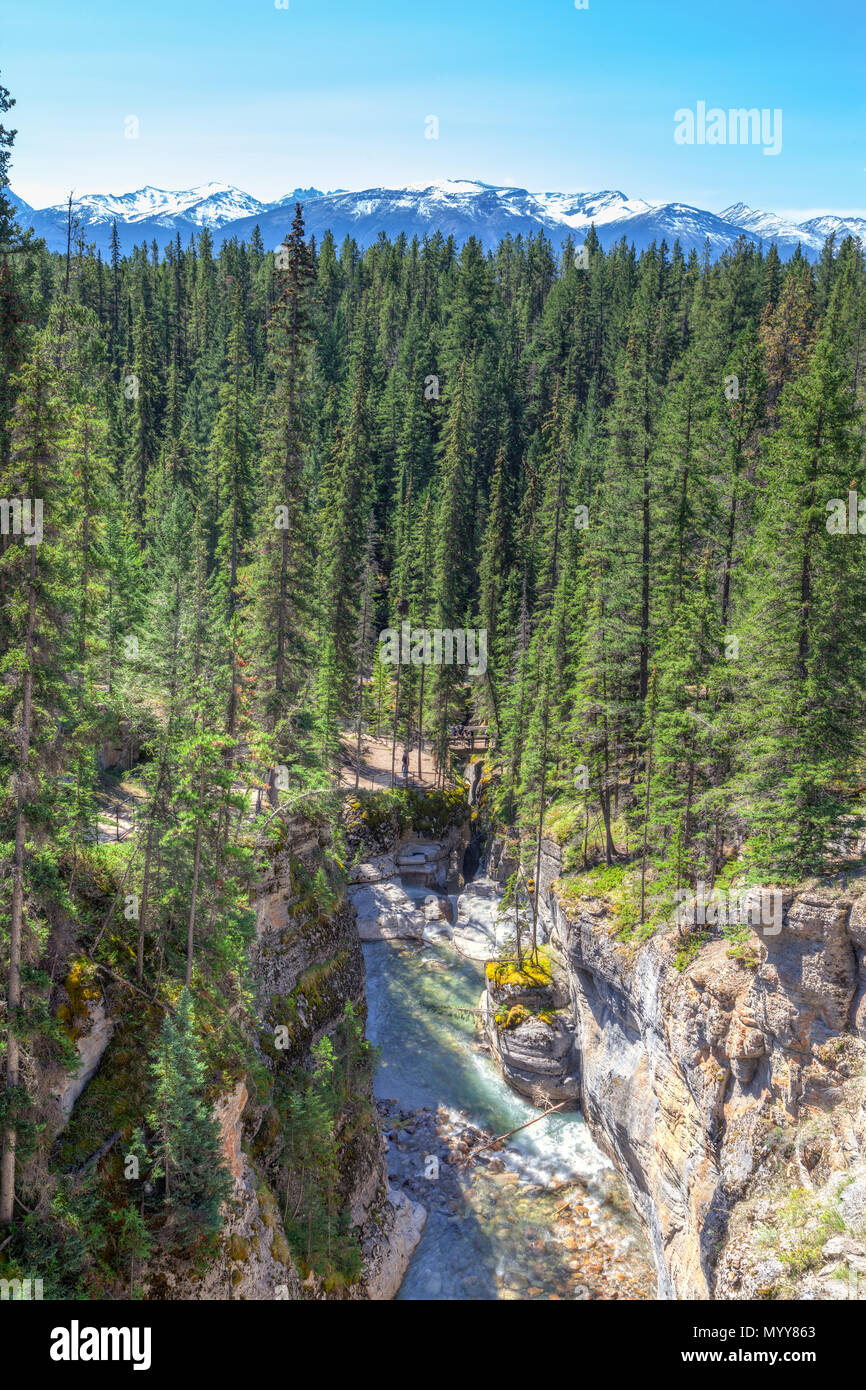 Aerial view of Maligne Canyon in Jasper National Park which is ...