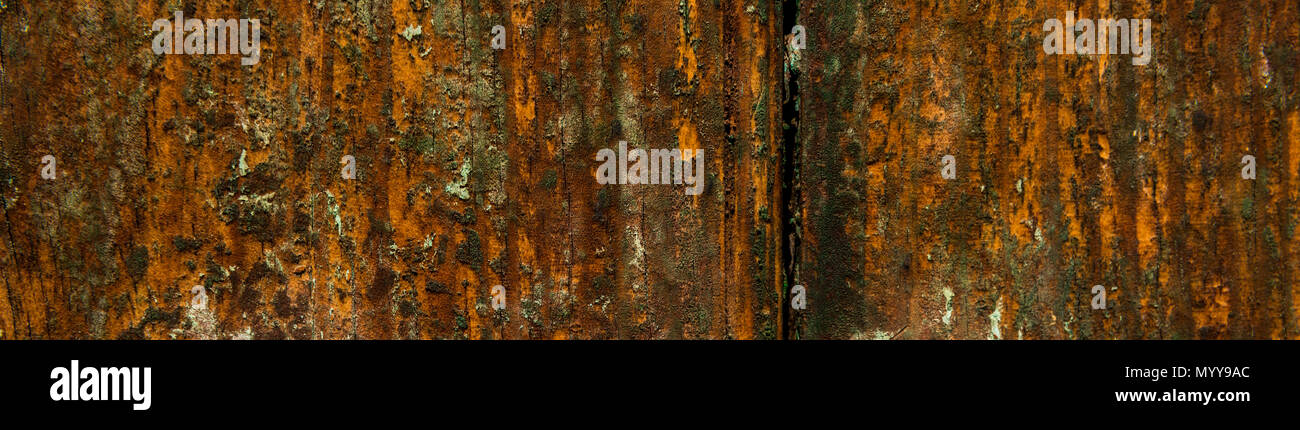 interesting texture of a wooden surface, natural wood as an elegant ...