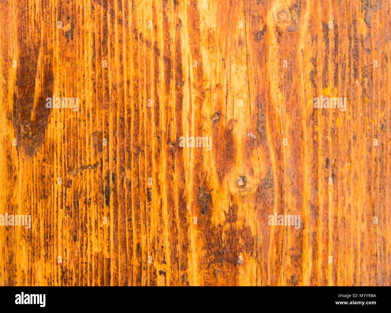 interesting texture of a wooden surface, natural wood as an elegant ...
