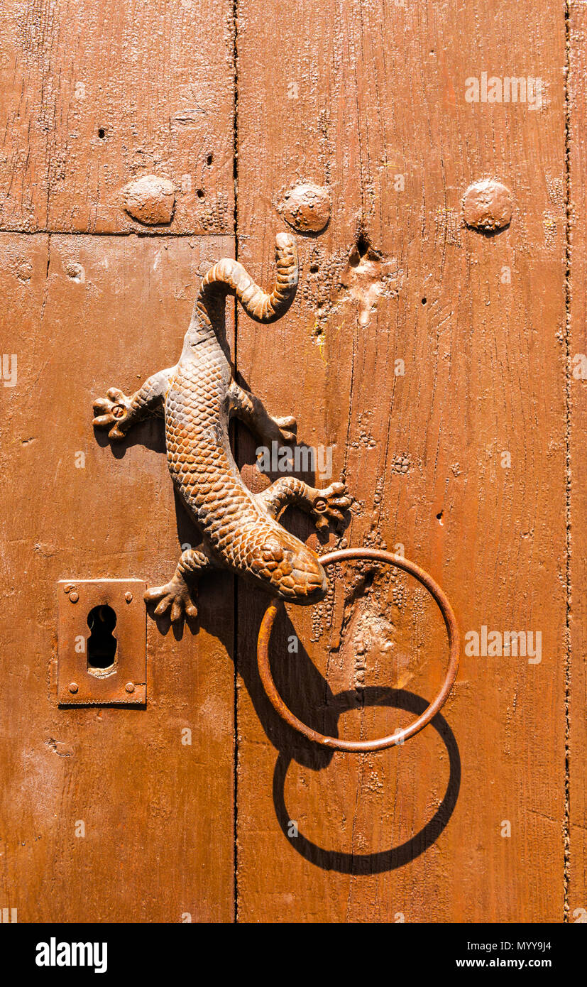 Door with brass knocker in the shape of a lizard, beautiful entrance to ...