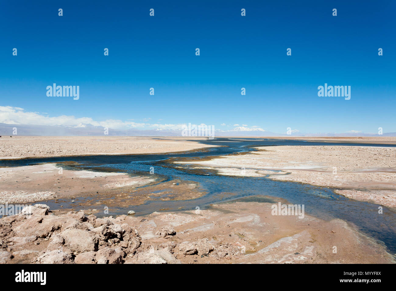 Flamingo natural reserve, Chile. San Pedro de Atacama, Los Flamencos ...