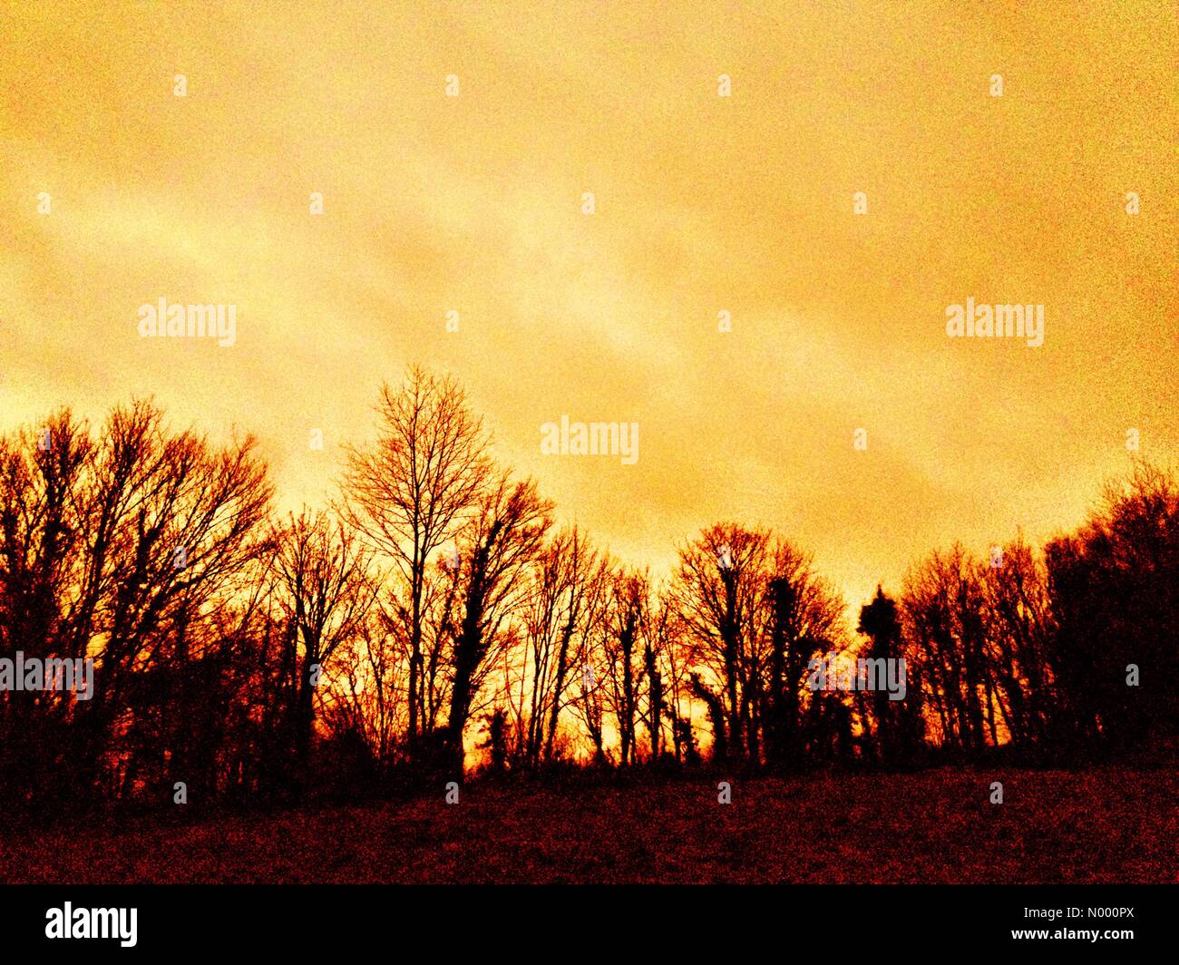 Batheaston, Bath, Bath and North East Somerset, UK. 21st Dec, 2014 ...