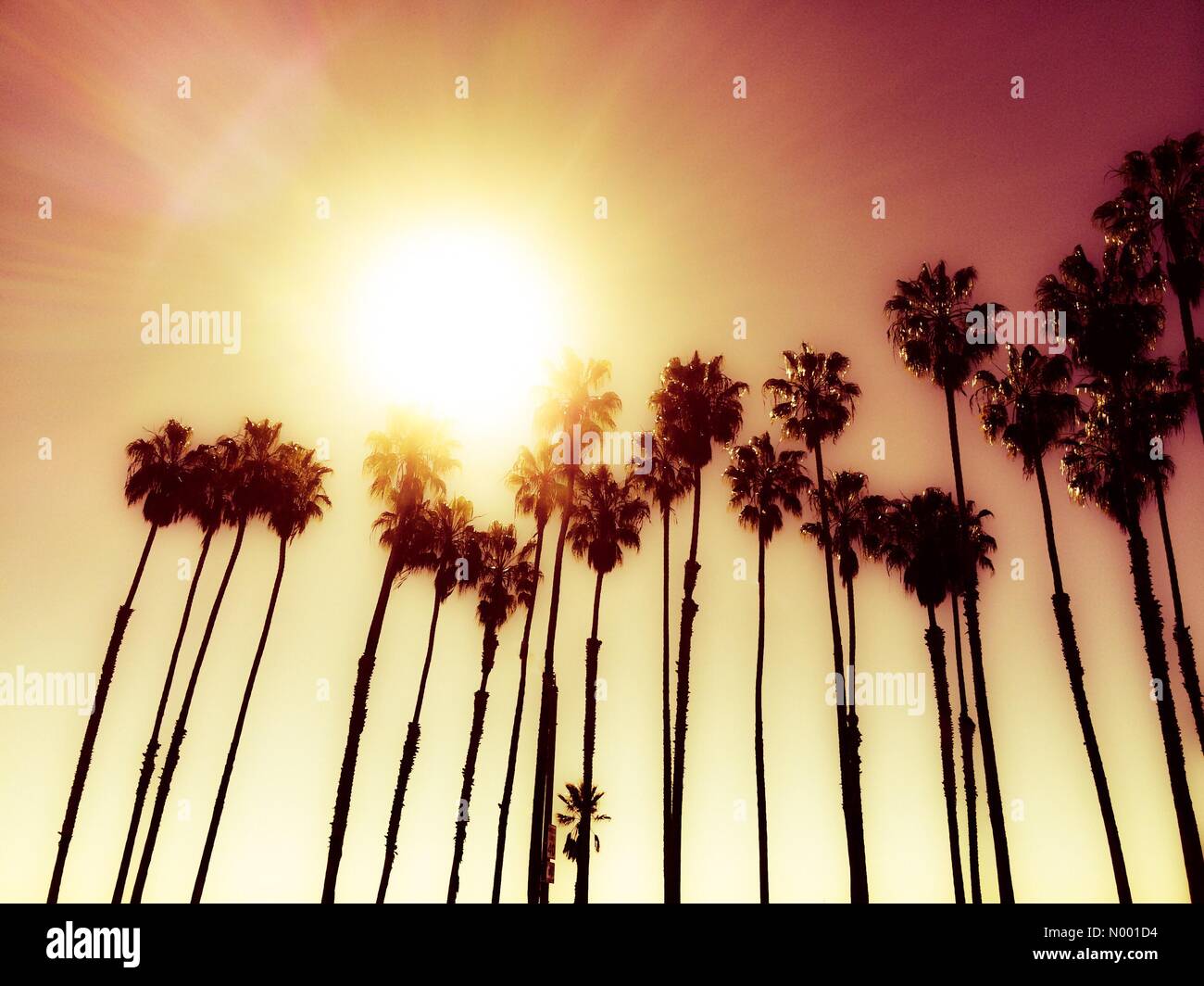 Hot Weather February High Resolution Stock Photography and Images - Alamy