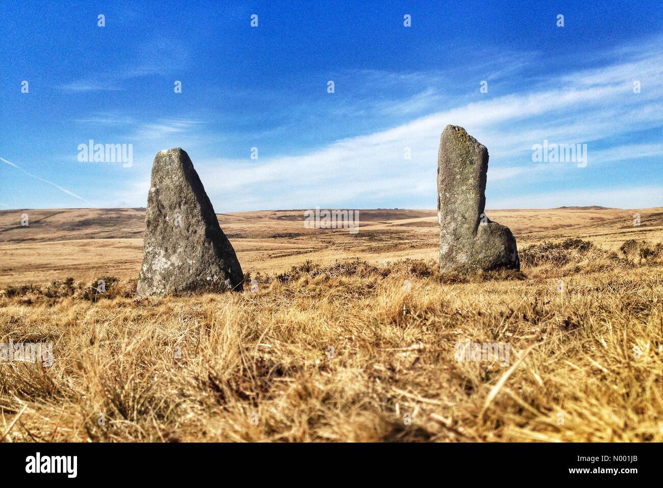 Dartmoor National Park, Throwleigh, Okehampton, Devon, UK. 06th Mar ...