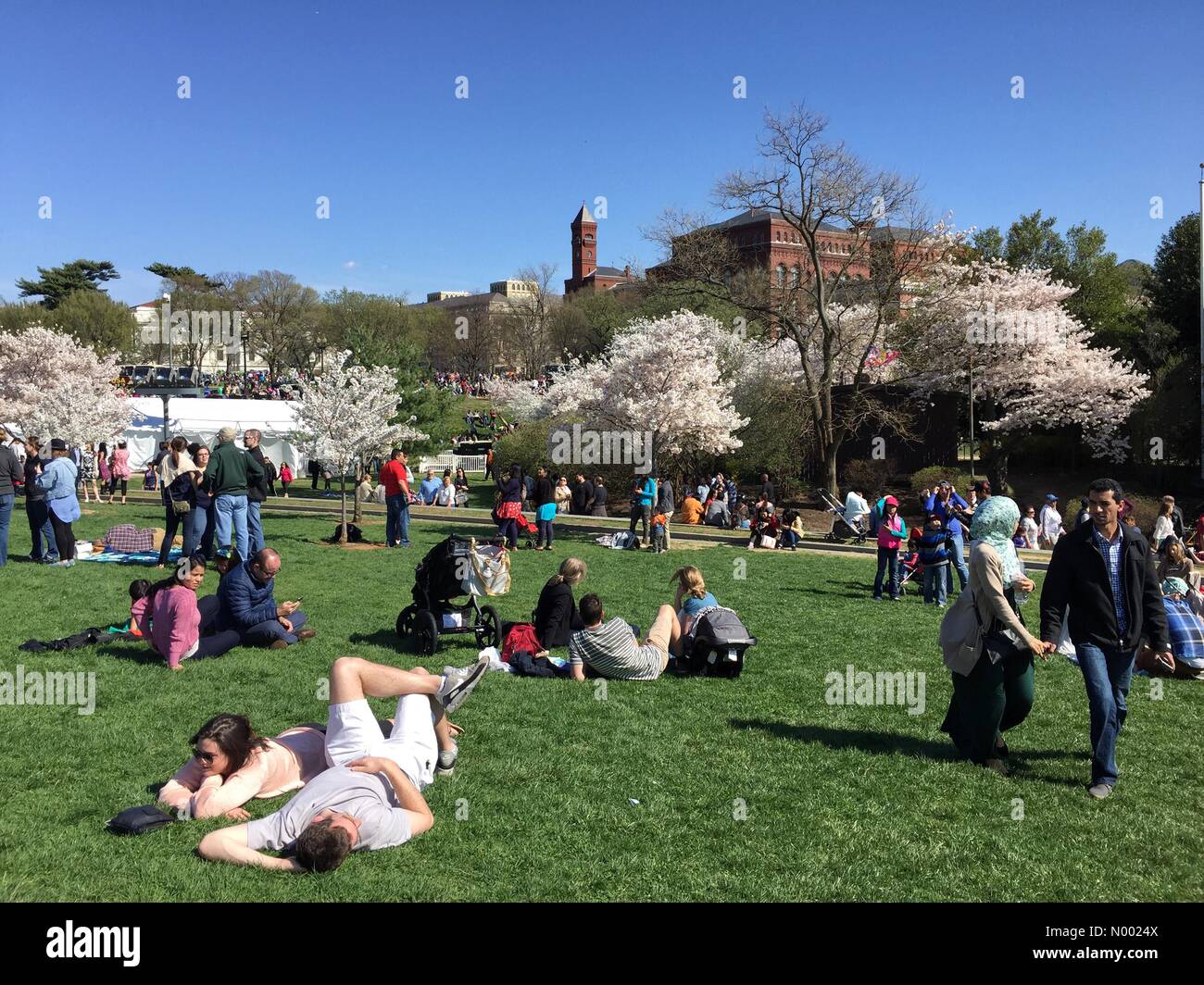 Washington DC, USA. 11th April, 2015. Relaxing on the National Mall ...