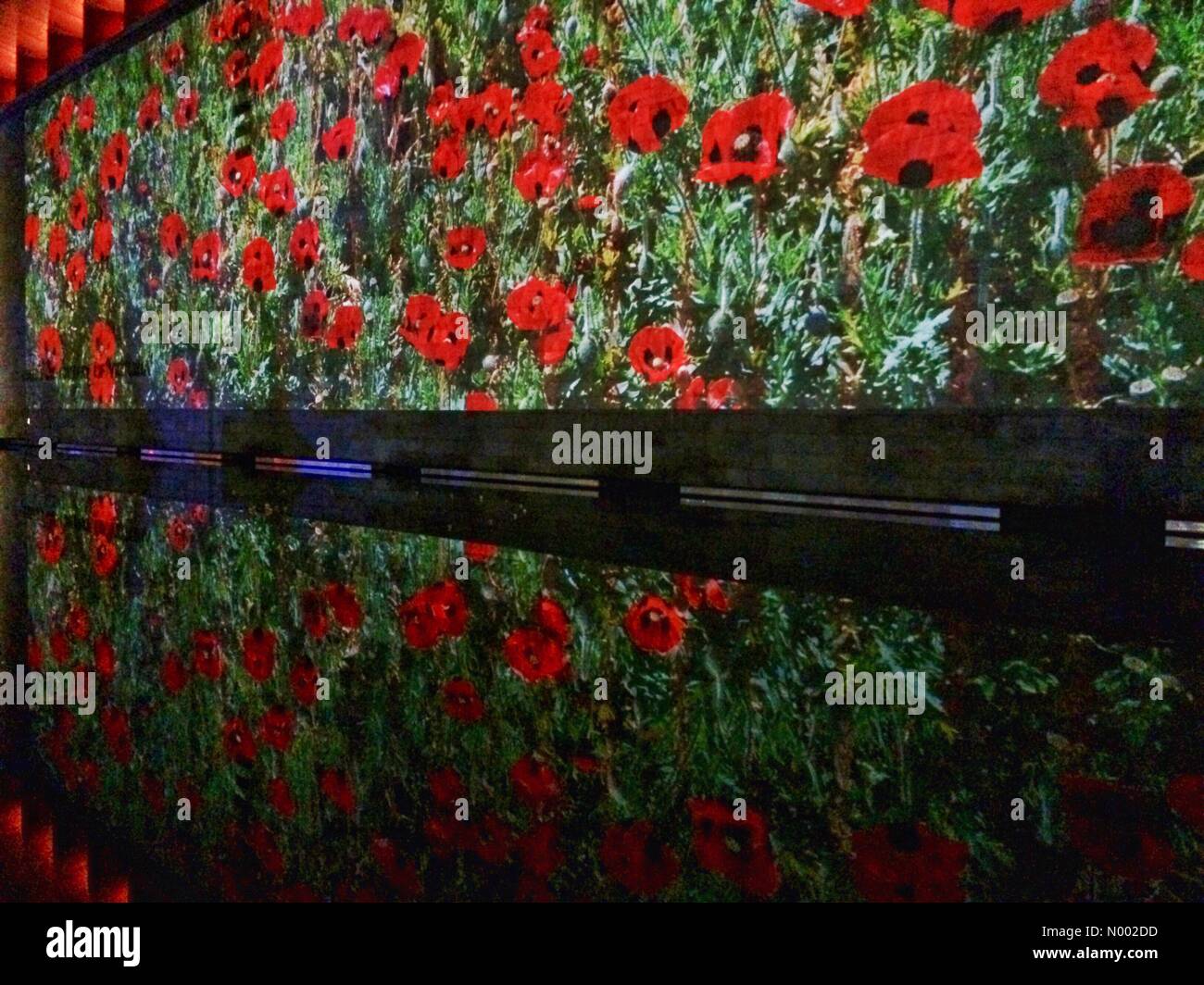 Projection poppy hi-res stock photography and images - Alamy