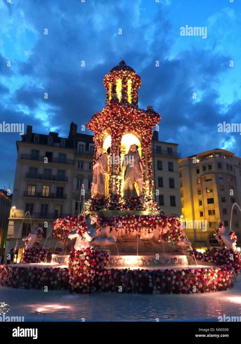 6000 roses hi-res stock photography and images - Alamy