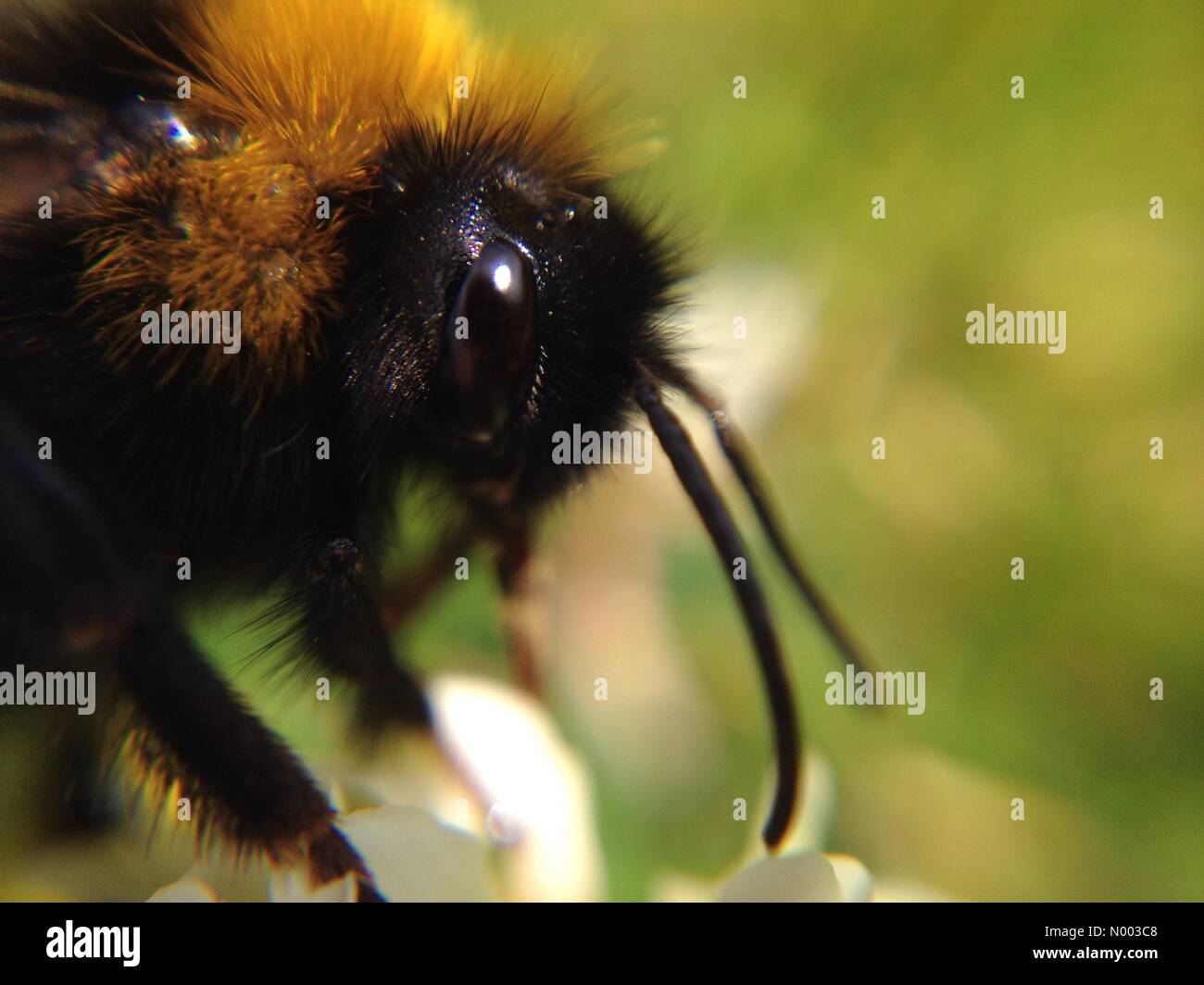 UK weather, a warm sunny day in Leeds, West Yorkshire brought out ...