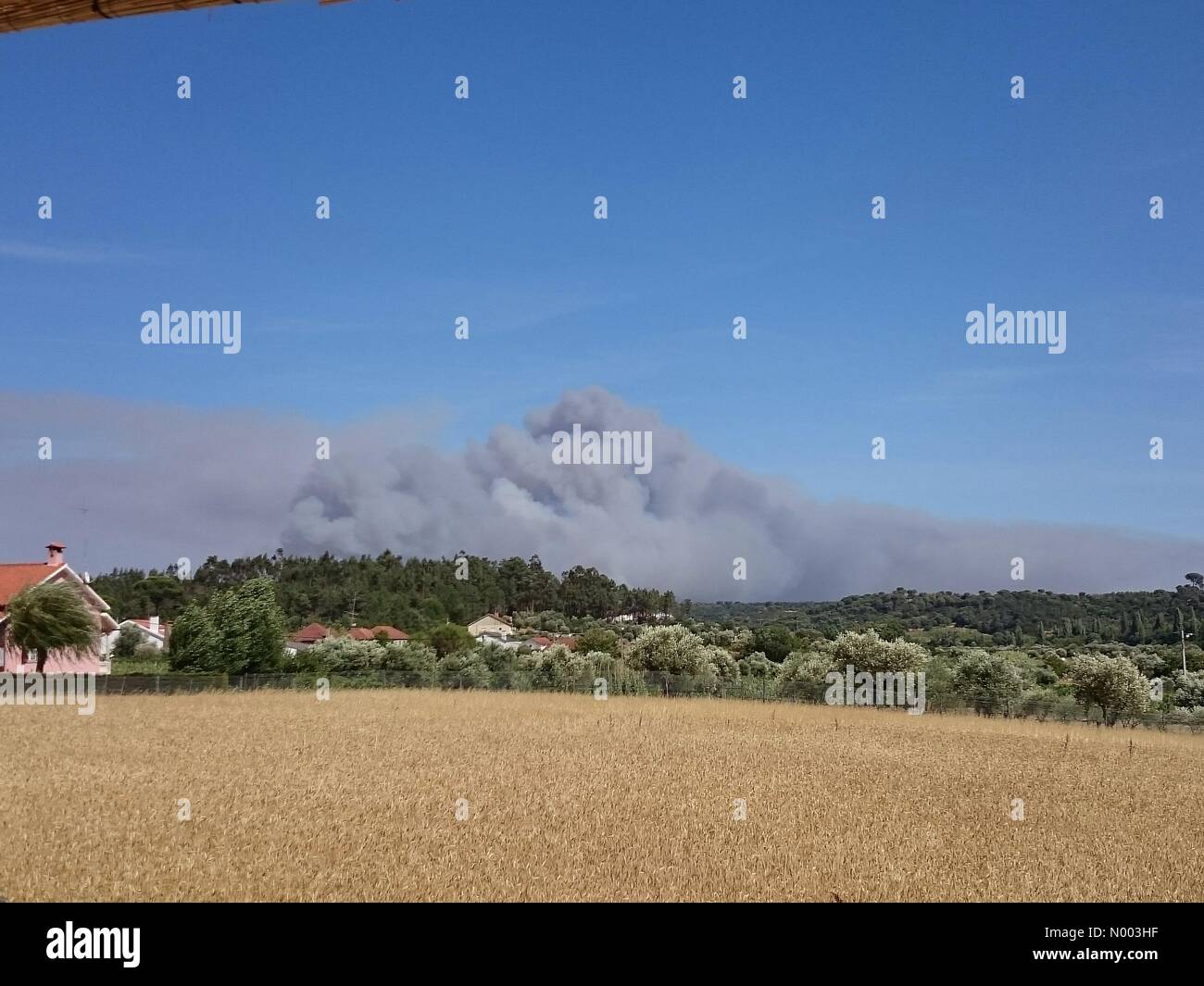 Huge forest fire Tomar Central Portugal 07/07/2015 over 200 ...
