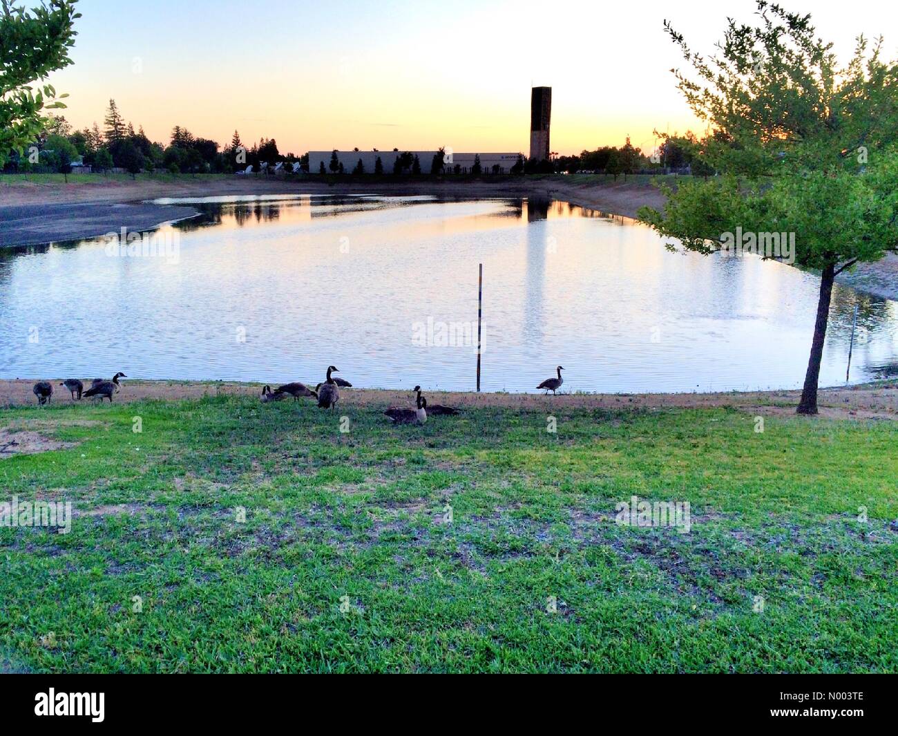 Fresno, California, USA. 23rd July, 2015. A nearly empty ponding basin ...