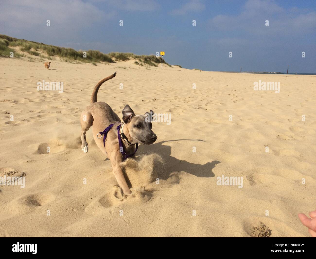 Eccles on sea hi-res stock photography and images - Alamy