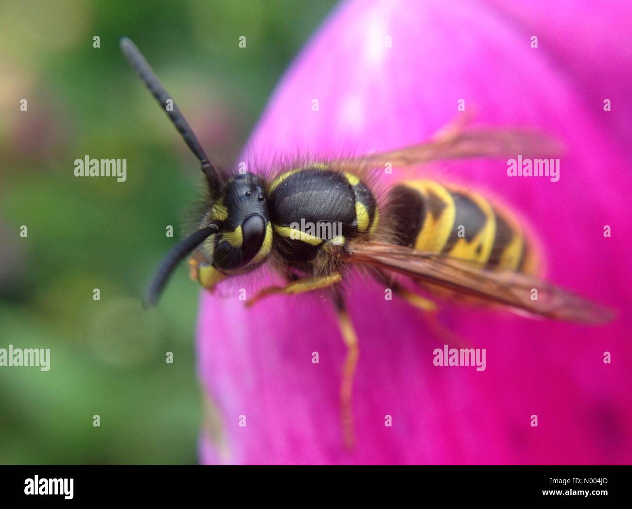 UK weather - A sunny day at Golden Acre park near Leeds, West Yorkshire ...