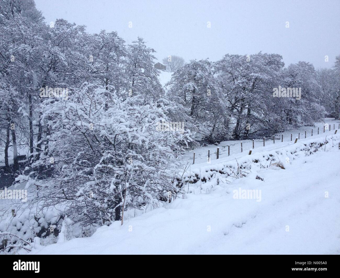 Barnard castle tree hi-res stock photography and images - Alamy