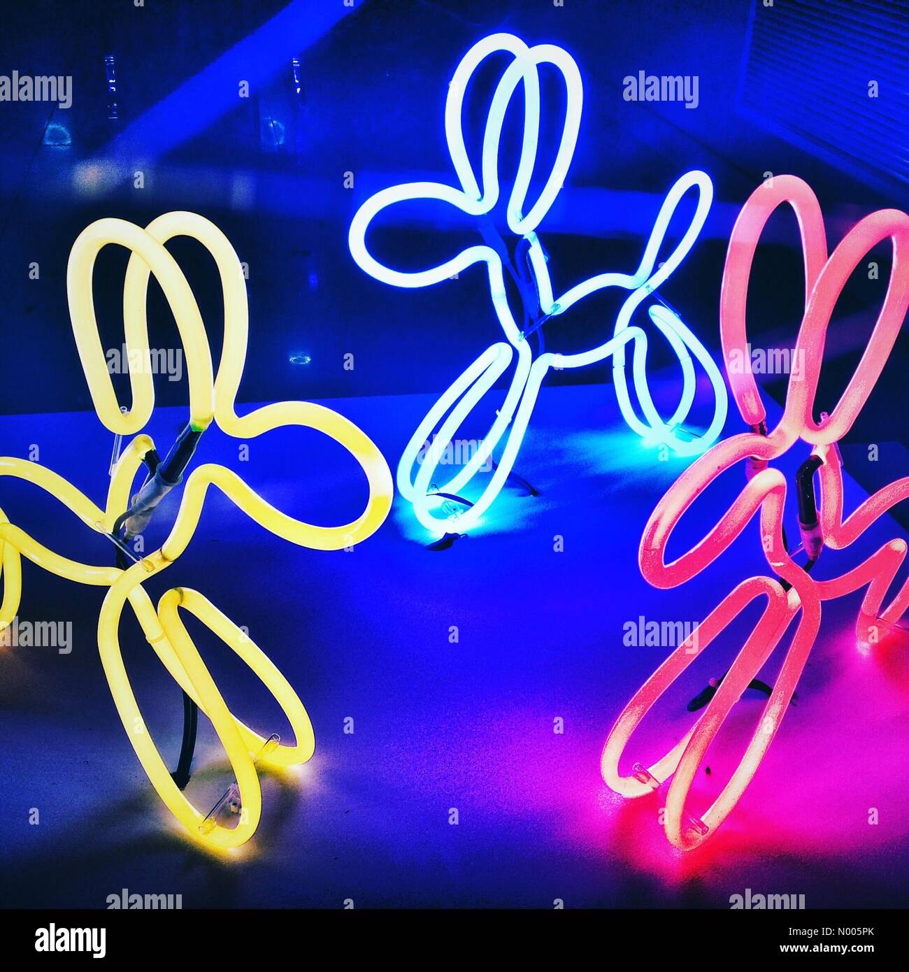 London, UK. 16th Jan 2016. Neon Dogs by Deepa Mann-Kler which was part ...