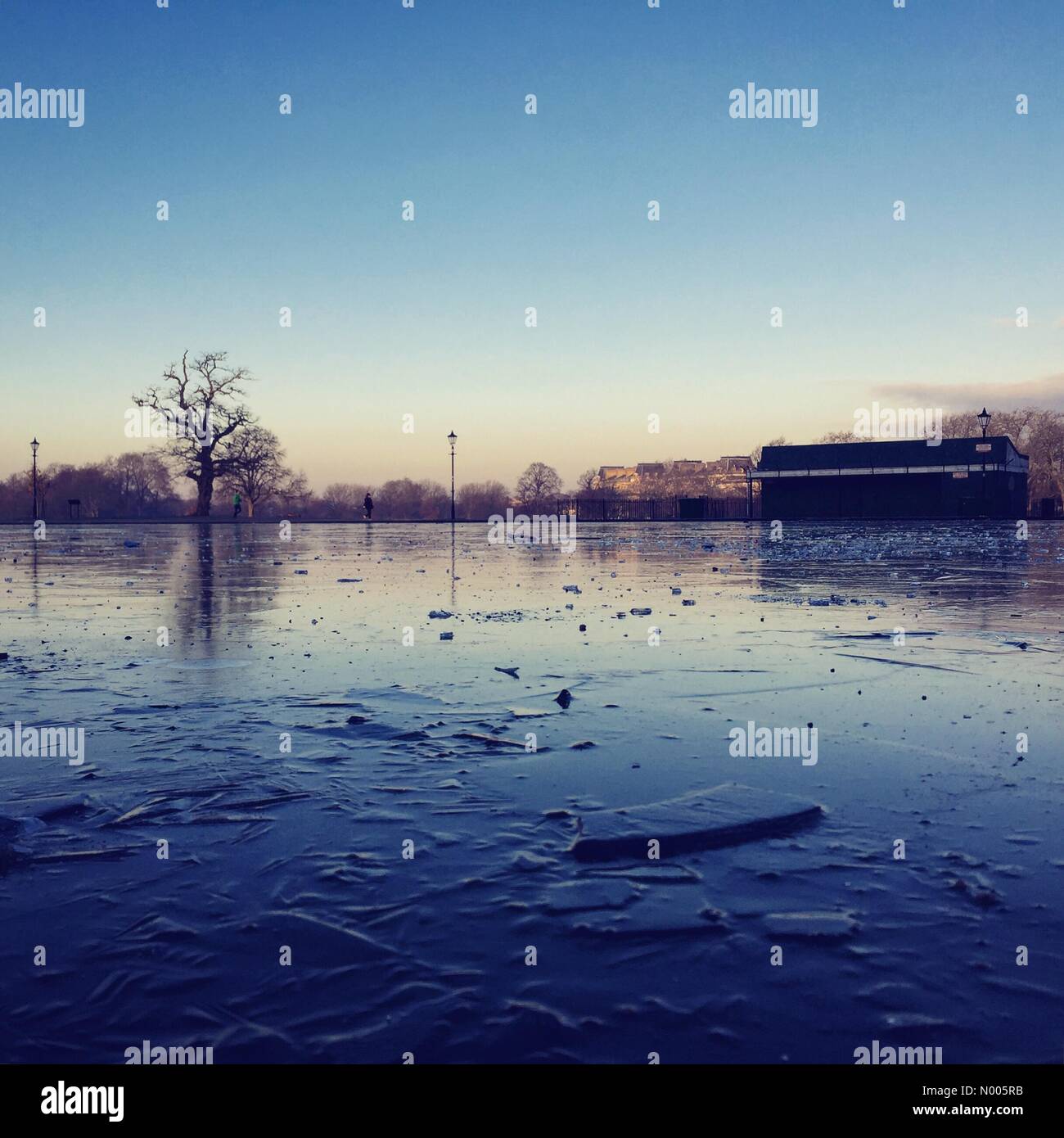 Rookery london hi-res stock photography and images - Alamy
