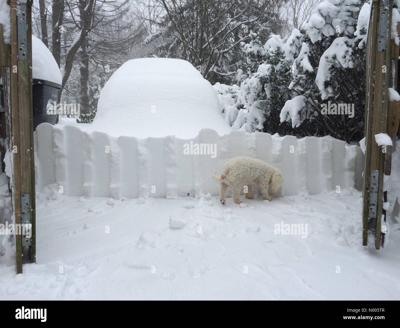 Record breaking snowfall hi-res stock photography and images - Alamy