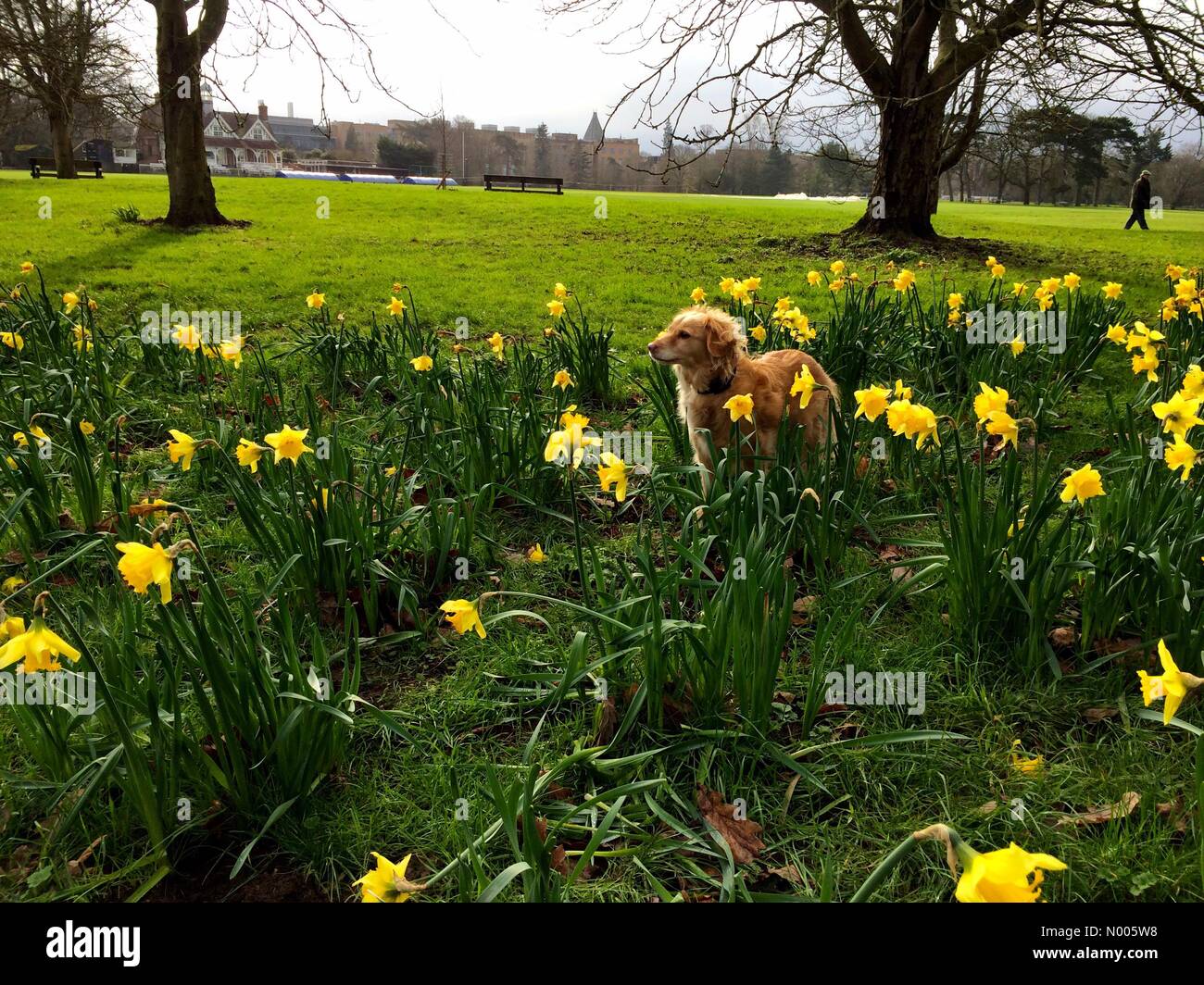 Sniffing the wind hi-res stock photography and images - Alamy